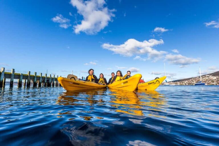 Hobart City 2.5-Hour Kayak Tour - The Sum Up