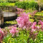 Hobart: Full-Day Bonorong Wildlife Sanctuary & Richmond Tour - Transportation, Guides, and Group Size