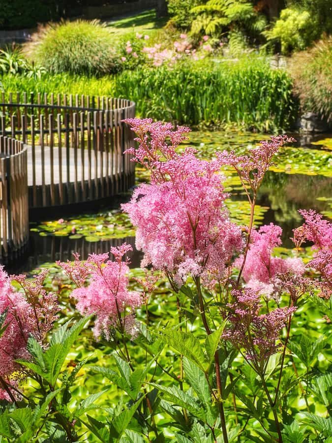 Hobart: Full-Day Bonorong Wildlife Sanctuary & Richmond Tour - Transportation, Guides, and Group Size