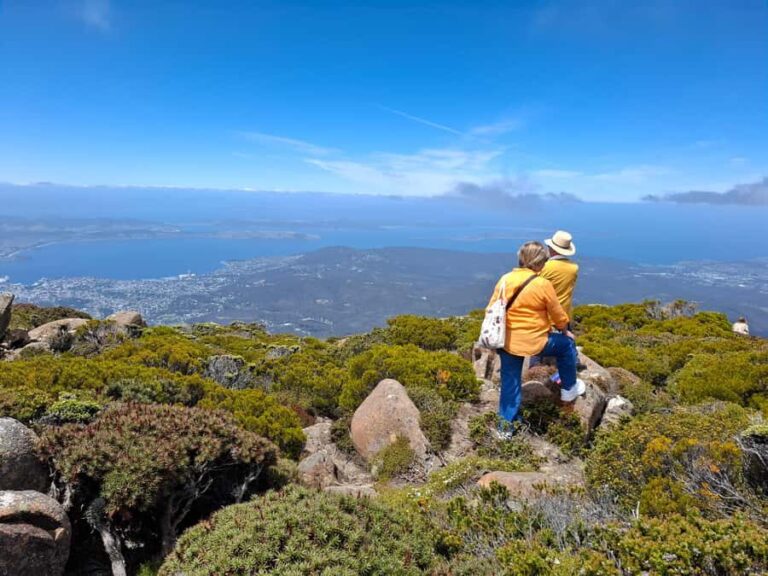 Hobart Highlights & Mount Wellington Shore Excursion - What to Expect at the Summit