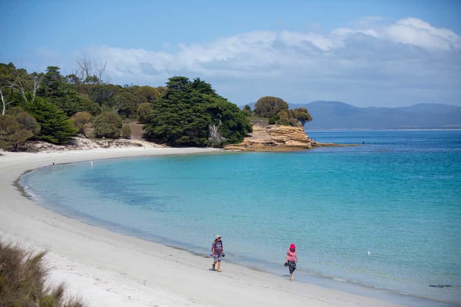 Hobart: Maria Island National Park Active Full-Day Tour - What to Expect from the Day