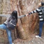 Hobart: Mt. Field, Mt Wellington & Wildlife - Active Day Tour - Why This Tour Offers Excellent Value