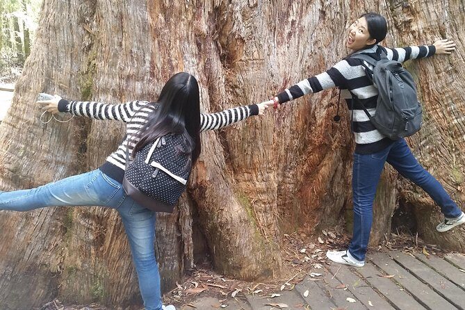 Hobart: Mt. Field, Mt Wellington & Wildlife - Active Day Tour - Why This Tour Offers Excellent Value