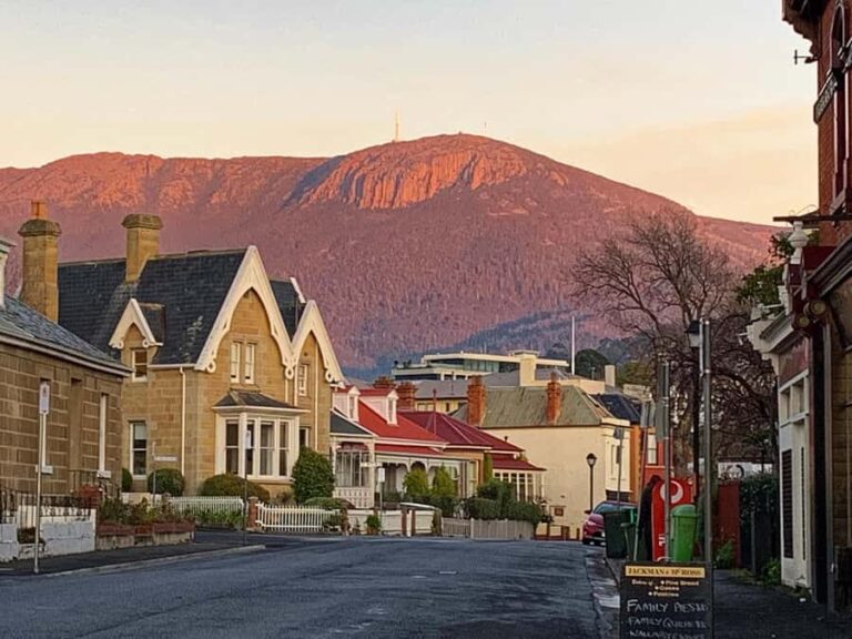 Hobart: Private City Tour with Mount Wellington & Tea - The Convenience of a Private Tour