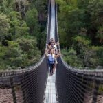 Hobart: Tahune Airwalk, Hastings Caves & Thermal Springs Pool - Practical Tips and Insights