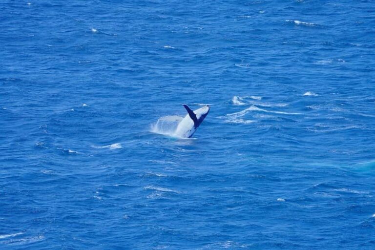 Hobart: Wineglass Bay, Freycinet Park, and Richmond Tour - Exploring the Itinerary: What You Can Expect from Start to Finish