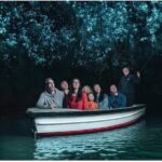 Hobbiton and Waitomo Caves Arrive in Comfort and Style - Why Choose This Tour?