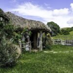 Hobbiton Movie Set and Waitomo Caves Exclusive (1-6 traveler) - Practical Details