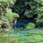 Hobbiton Movie Set & Blue Springs: Private Tour from Auckland - The Sum Up