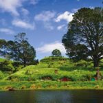 Hobbiton Movie Set & Te Puia Geothermal Valley Private Tour - Practical Details and What’s Included