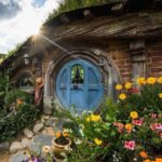 Hobbiton & Waitomo Caves Small Group Tour from Auckland inc Lunch - Final Thoughts: Who Is This Tour For?