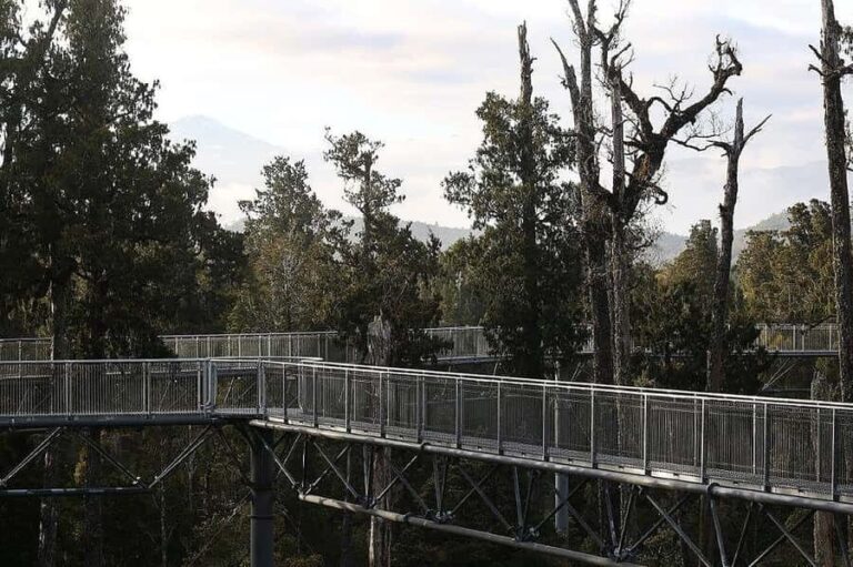 Hokitika: West Coast Treetop Walkway Entrance Ticket - Practical Details and Tips