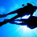 Hol Chan Marine Park night dive - Who Should Consider This Tour?