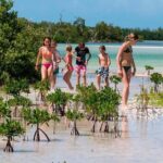 Holbox and Passion Island Full-Day Tour with Cenote, Transportation and Lunch - What to Expect from the Tour