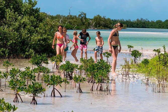 Holbox and Passion Island Full-Day Tour with Cenote, Transportation and Lunch - What to Expect from the Tour