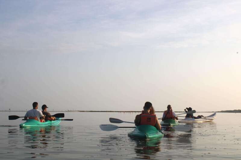 Holbox: Guided Sunrise/Sunset Kayak Tour by Mangrove Reserve - In-Depth Breakdown of the Itinerary