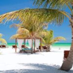 Holbox Island and Pasión Island Tour with Lunch and Pickup - Who Will Love This Tour?