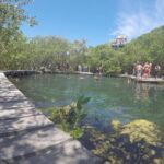 Holbox Island Tour From Cancun - The Authentic Experience and Hidden Challenges