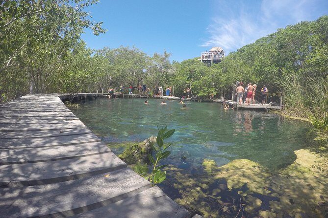 Holbox Island Tour From Cancun - The Authentic Experience and Hidden Challenges