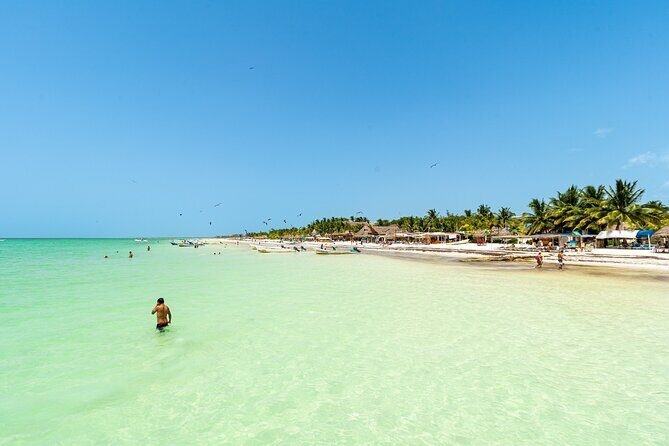 Holbox Island Tour with Pasion Island and Punta Mosquito - Practical Details and What You’re Getting for the Price