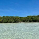 Holbox: Islas Pajaros, Yalahau & Isla de la Pasión with pick up - The Experience From Reviews