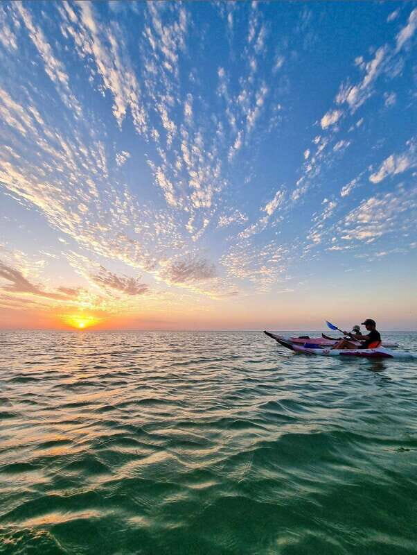 Holbox: Mangrove Sunset Kayak Tour - The Experience in Detail