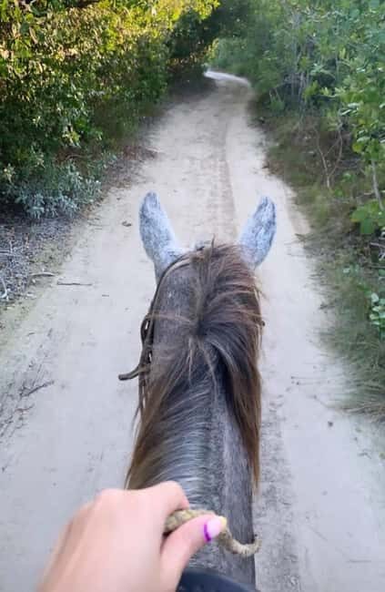 Holbox: Private Horseback Riding - The Itinerary: What to Expect