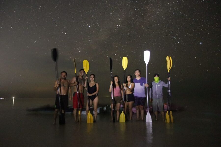 Holbox: Stars and Bioluminescent Marine Life Kayaking Tour - Overview of the Tour Experience