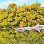 Holbox: Sunrise & Mangrove Kayak Tour - Who Will Love This Tour?