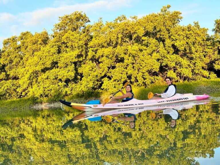 Holbox: Sunrise & Mangrove Kayak Tour - Who Will Love This Tour?