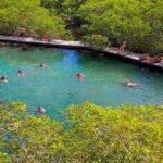 Holbox The Living Dream by boat from Playa del Carmen - What’s Included and What’s Not