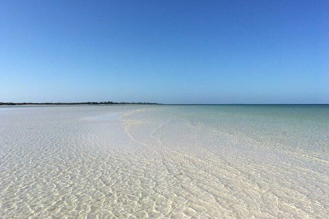 Holbox Tour! Nature Adventure from Cancun & Playa Del Carmen - What’s Included and What’s Not
