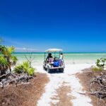 Holbox Tour with Ferry transportation and lunch included - Practical Insights for Travelers