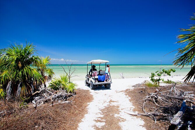 Holbox Tour with Ferry transportation and lunch included - Practical Insights for Travelers
