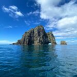 Hole in the Rock Tour & Bay of Islands Cruise - Who Would Love This Tour?