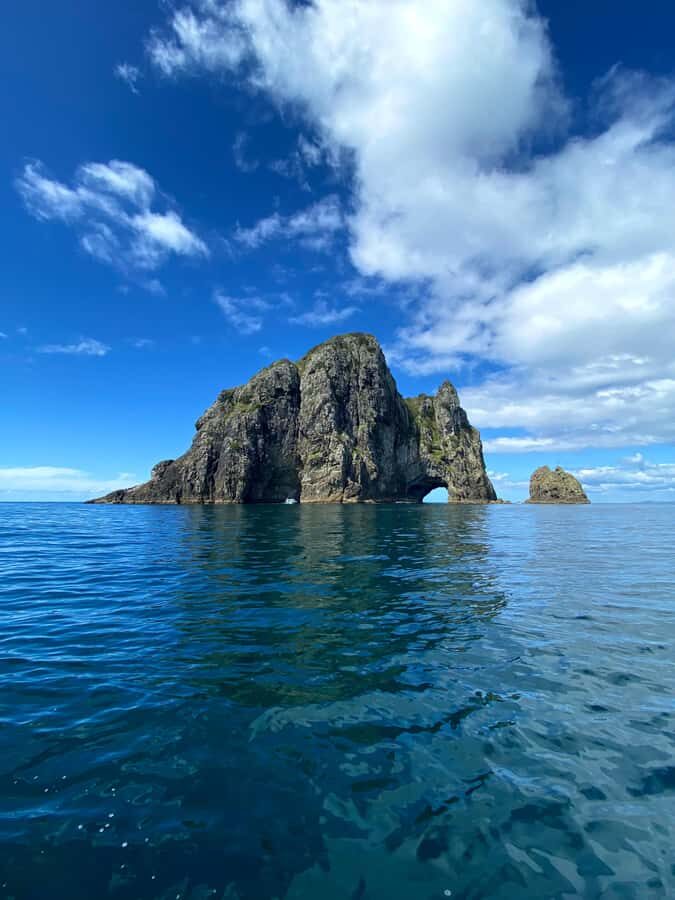 Hole in the Rock Tour & Bay of Islands Cruise - Who Would Love This Tour?