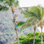 Honolulu: Ka Moana Luau Dinner and Show with Transportation - FAQs