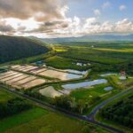 Hook A Barra Fishing Experience - Food and Sides