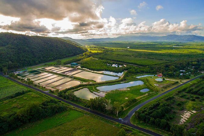 Hook A Barra Fishing Experience - Food and Sides