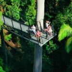 Hop on Hop off - Tamborine Rainforest Skywalk + Glow Worm Caves - The Practicalities: What You Need to Know