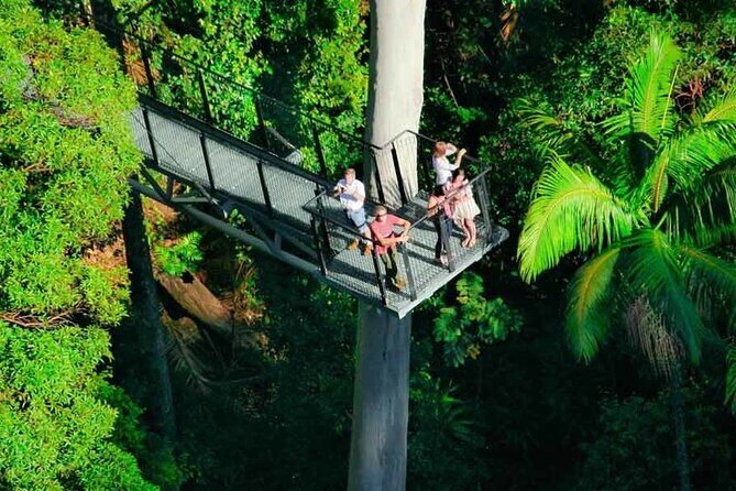 Hop on Hop off - Tamborine Rainforest Skywalk + Glow Worm Caves - The Practicalities: What You Need to Know
