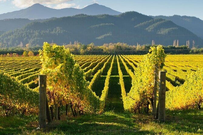 Hop on Hop off Wine Tours Marlborough - Who Should Book This Tour?