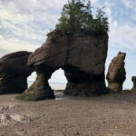 Hopewell Cape: Hopewell Rocks Admission - Authentic Feedback from Visitors