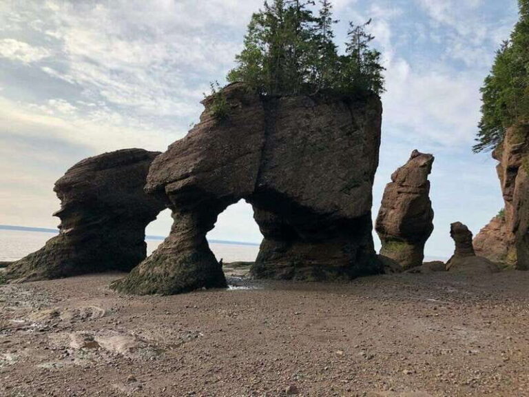 Hopewell Cape: Hopewell Rocks Admission - Authentic Feedback from Visitors