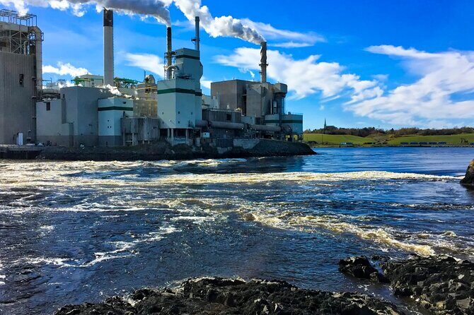 Hopewell Rocks Bay of Fundy Tour - Why This Tour Is Worth Considering