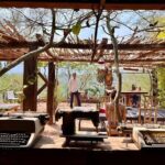 Horizons of Cuicatlán, echoes of the past and ancestral route - What Makes This Tour Stand Out?