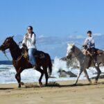 Horse Back Ridding Tour on the Pacific Ocean & Desert - Detailed Breakdown of the Experience