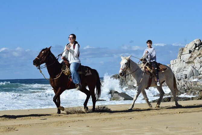Horse Back Ridding Tour on the Pacific Ocean & Desert - Detailed Breakdown of the Experience