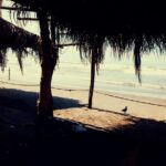 Horse Back Riding And Baby Turtle Camp Visit - What to Expect from This Tour