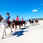 Horse Riding, Wine Tasting & Art Trail Private Tour - What Makes This Tour Stand Out?